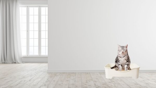 Unicharm Pet Indonesia – Unicharm Pet menghadirkan produk perawatan ...